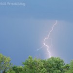 Lightning Round Two...Sort of - Simply Vicki